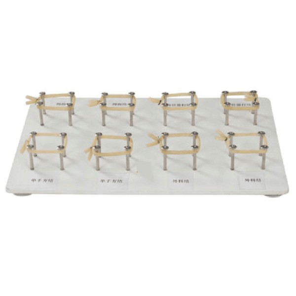 Quality Superfical knotting Training simulator , Surgical Training Models for college education for sale