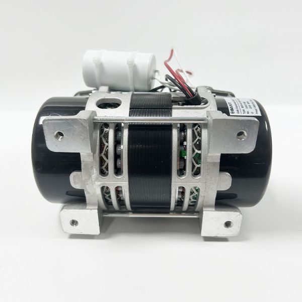 Quality Silent Oil-free Piston Vacuum Pump For AC 110V Or 220V Environments Original Product for sale