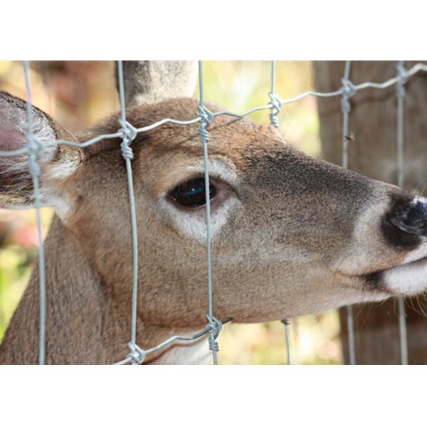 Quality Heavy Duty Fixed Knot Square Deer Mesh Fence Corrosion Resistance Easy for sale