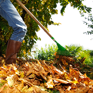 Lawn, Leaf & Garden Waste Bags