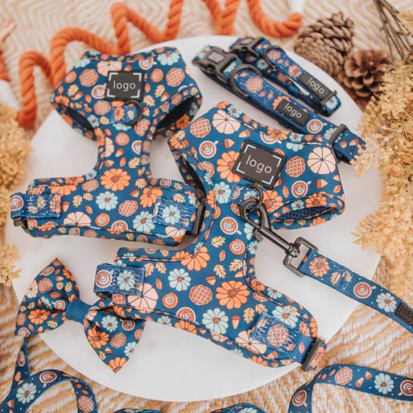 Quality Dog Vest Set No Pull Neoprene Mesh Harness Leash Collar Print Pattern Customized for sale