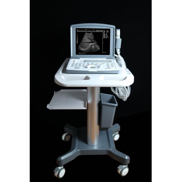 Quality Portable Full Digital Diagnostic Ultrasound scanner OEM for sale