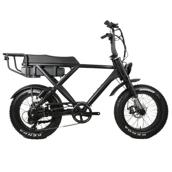 Quality Disc Brake 1000W Retro Style 20inch Fat Tire Chopper Electric Bike for Beach Cruiser for sale