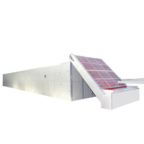 Quality Dual Layer Fruit Mesh Belt Dryer SUS304 for sale