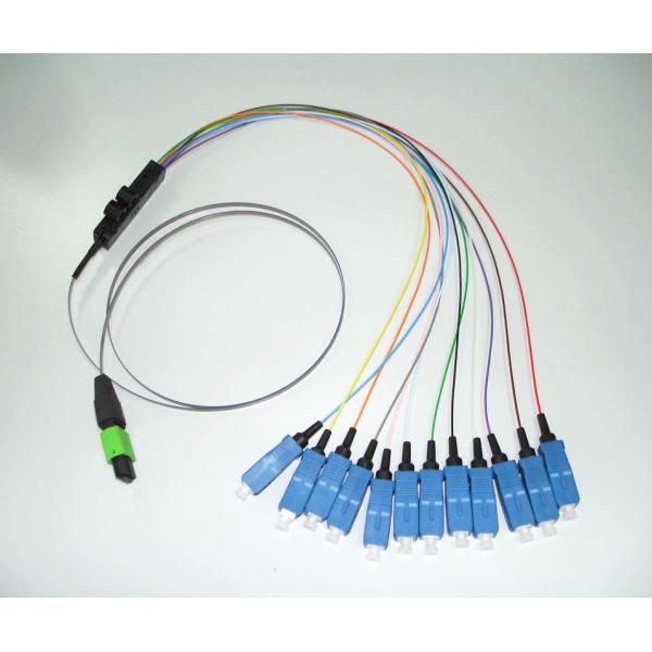 Quality US CONEC MTP to SC,8/12/24cores Hydra patch cord/Cable Assemblies for sale