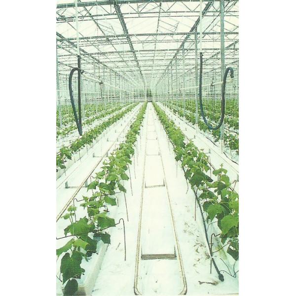 Quality Water Absorption Hydroponic stonewool Cubes , 80kg/m3 stonewool Base for sale