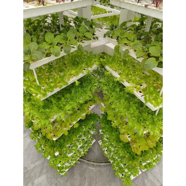 Quality Vertical Farming Hanging Plant Hydroponic Intelligence Farming for sale