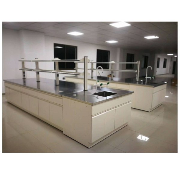 Quality Organized Workspace Laboratory Table Workbench for Chemical Reagent Storage for sale