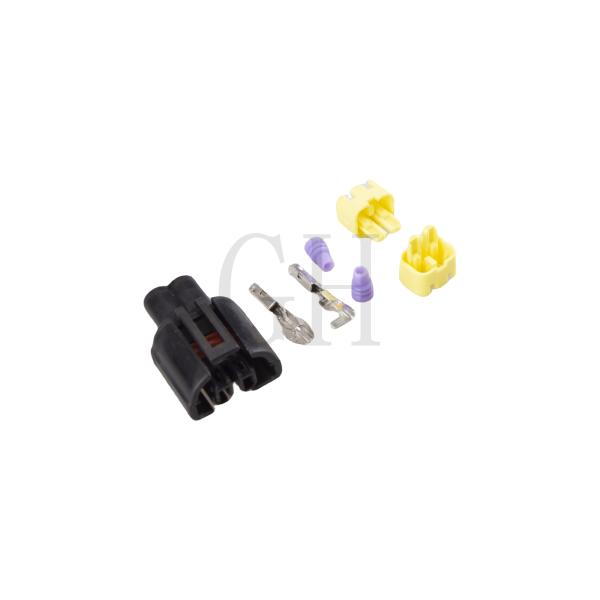 Quality AC Compressor Plug Buick Valve Plug 2 Pins Buick Docking Frequency Conversion for sale