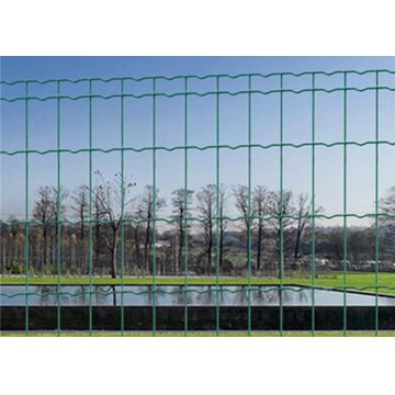 Quality 3" X 3" Pvc Coated Hdg Welded Iron Wire Mesh For Fencing for sale