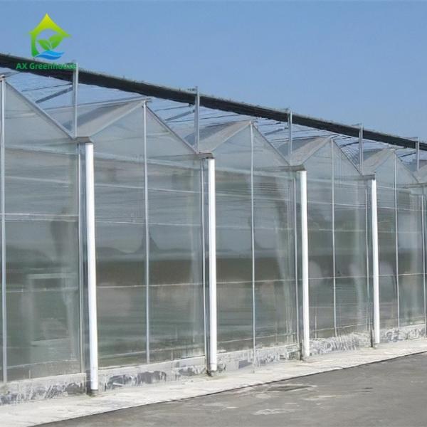 Quality Multispan PC Sheet Greenhouse for sale