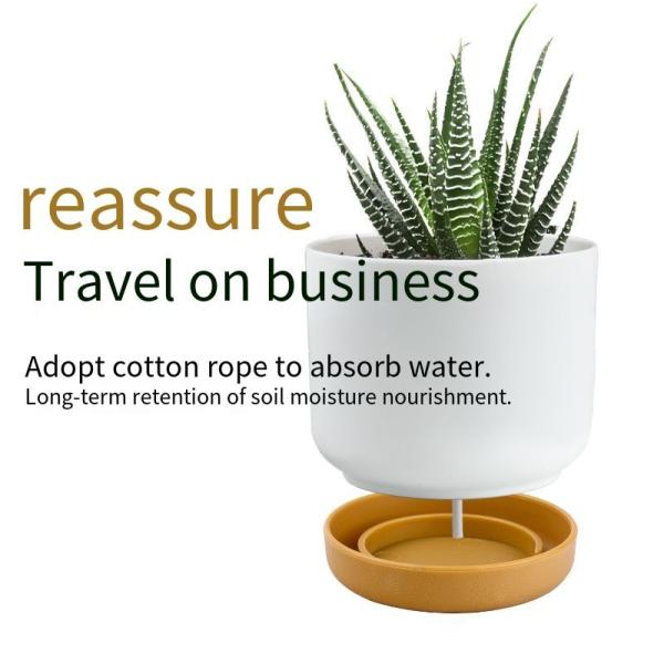 Quality Modern Self Watering Planter Pot for Home Decor for sale
