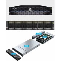 Quality Dual Ctrl NVMe HUAWEI Storage Server OceanStor Dorado 3000 V6 D6V6-1T-NVMe for sale