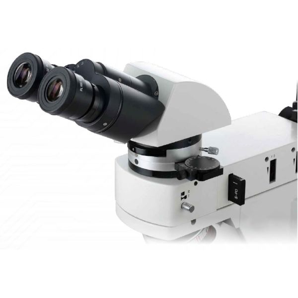Quality PL10X22mm Transmission Light Microscope 20x 50x Digital Polarizing Microscope for sale