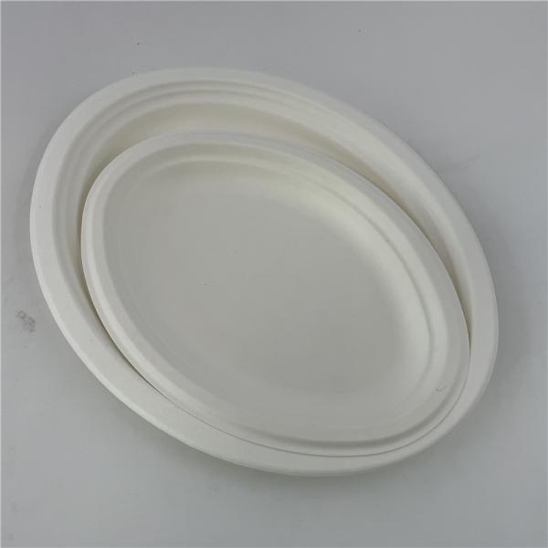 Quality Biodegradable Tableware Sugarcane Bagasse Pulp Paper Plate Dinnerware Sets for sale