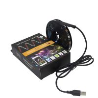 Quality AC220V 10M DC12V Flex LED Strip Light Rope Light Kit for sale