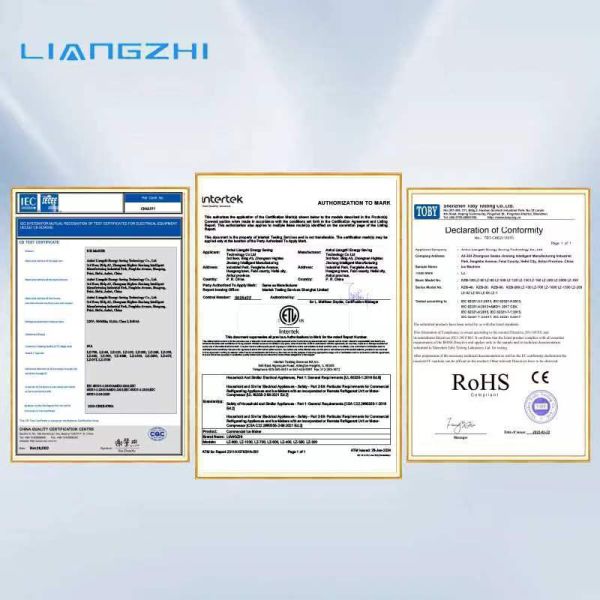 Quality Daily 2100g Filling Capacity LZ-1 Automatic Flake Ice Machine with 400kg Ice for sale