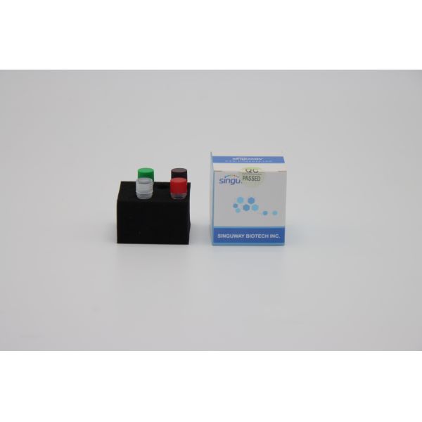 Quality Fast Test FluA FluB Instant RT PCR Test Kit Nucleic Acid Test Kits Singuway for sale