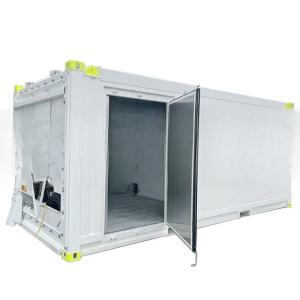 Quality 20ft DNV 2.7-1 Standard Dual Temperature Offshore Reefer Container Frozen Fresh for sale