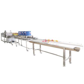 Hot selling Ultrasonic Vegetable Washer With Manufacturer Price by Huafood