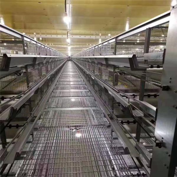 Quality A Type 198 Birds Layer Chicken Cage Poultry Farming Equipment for sale