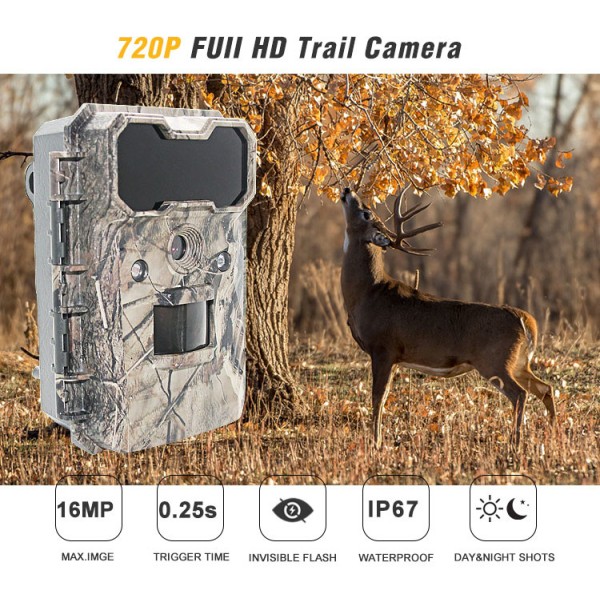 Quality Motion Activated Wildlife Camera for sale