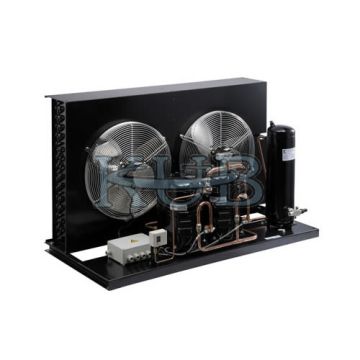 Quality Made in China 1.5HP to 3HP Tecumseh compressor condensing unit cold room for sale