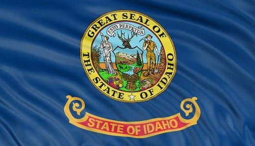 Quality Idaho State Flag Model A00001 Polyester Material Double Stitch Clean Cut for sale