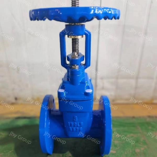 Quality ANSI Rising Stem Gate Valve Ductile Iron Red Resilient Seated Gate Valve for sale