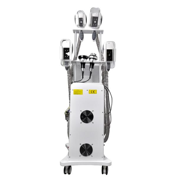 Quality Fat Freeze Cryolipolysis Slimming Machine 800W OEM for sale