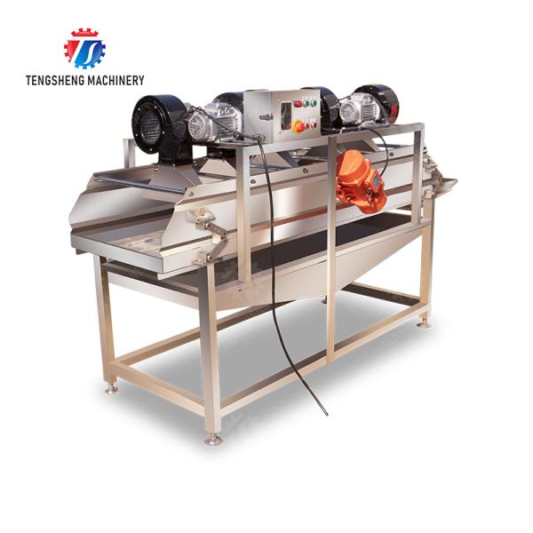 Quality Bubble washing vibration air drying production line Orange Vegetable Herbs Fruit for sale