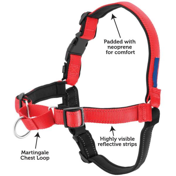 Quality Highly Visible Nylon Dog Harness , Reflective Dog Harness Padded With Neoprene for sale