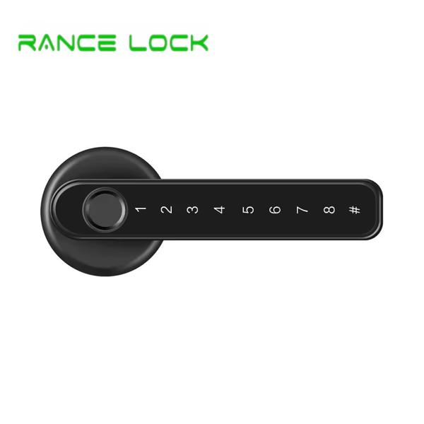 Quality Remote Control Fingerprint Door Lock Security Fingerprint Passcode Lock With for sale
