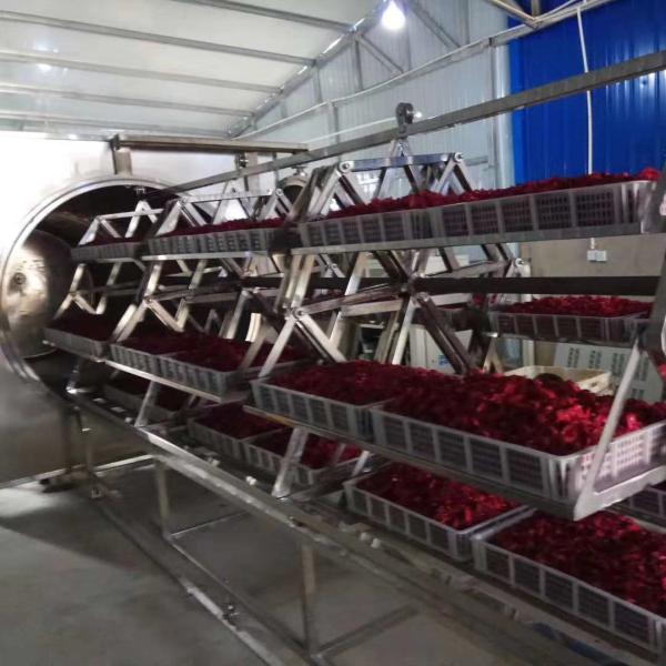 Quality Rose Flower Microwave Commercial Vacuum Oven Spices Vacuum Dryer Oven Machine for sale