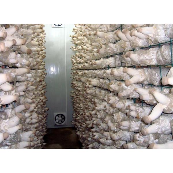 Quality Large Integration Cold Storage Room 2.5m Automatic For Hotel / Market for sale