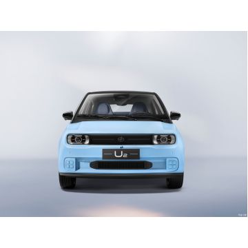Quality 3.8m mini electric car for sale