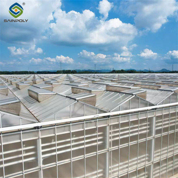 Quality Multi Span Agricultural Polycarbonate Green House Venlo Style Greenhouse for sale
