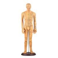 China Chinese Acupuncture Body Model Acupoint 50cm Acupuncture Meridian Model factory