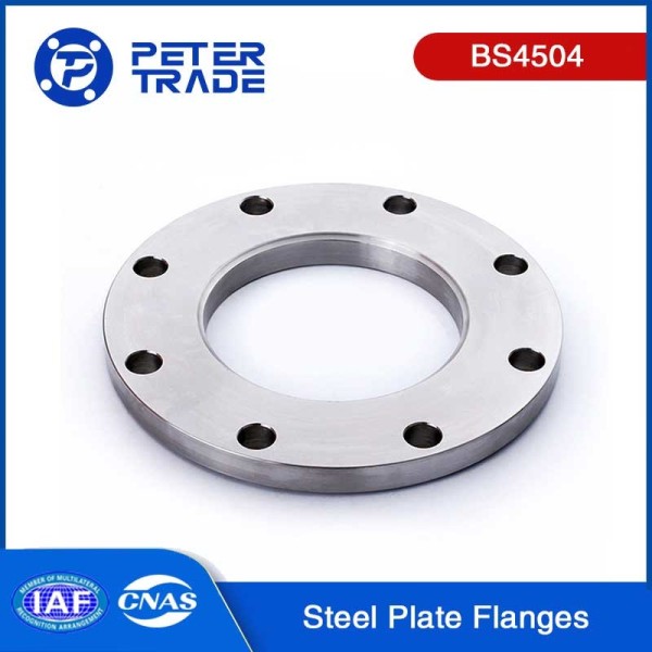 Quality BS4504 CODE101 PN2.5 Carbon Steel Plate Flange PL RF Raised Face DN10 To DN2000 for Heating Industry for sale