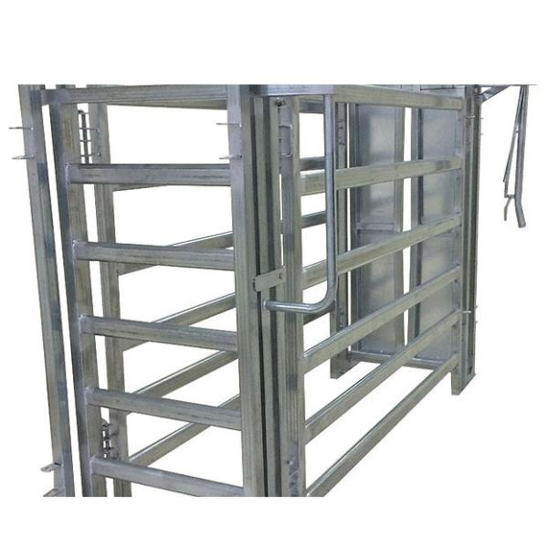 Quality 32mm OD Cattle Crushes Panel Cattle Headlock Panels Long Lasting for sale