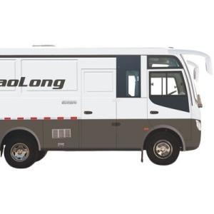 Quality Diesel Cargo Truck for sale