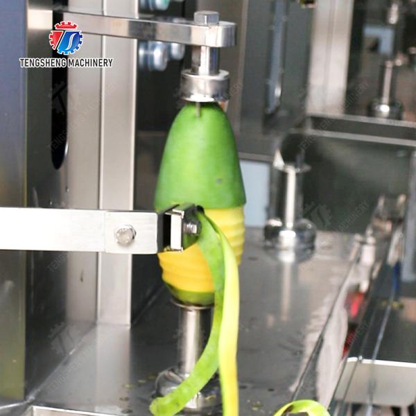 Quality Melon and fruit double-head with single cutter peeling machine papaya chieh-qua for sale