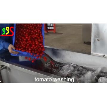 Quality Fresh Tomato Medium Fruit Production Line for sale