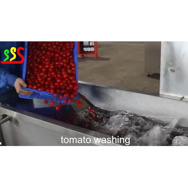 Quality Fresh Tomato Medium Fruit Production Line for sale