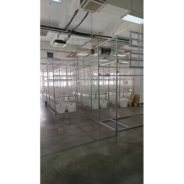 Quality Hollow fiber membrane automatic wire arrangement equipment for sale