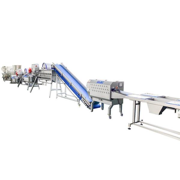 Quality Diced Onions 2000kg/H Fruit Vegetable Washing Machine for sale