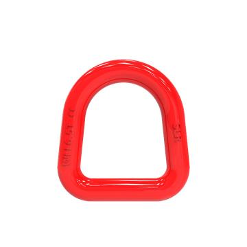SLR036-G80 FORGED D RING