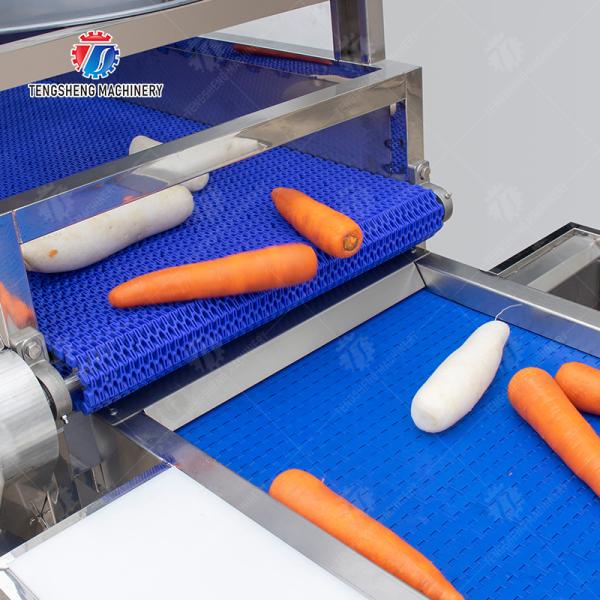 Quality Enhance Your Production with Our State-of-the-Art Fruit And Vegetable Processing for sale