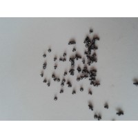 Quality M1.2*2 Phillips flat head half thread small screw for sale