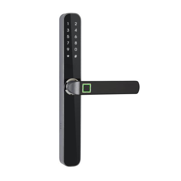 Quality IP65 Antifreezing Aluminum Frame Fingerprint Glass Door Smart Lock for sale